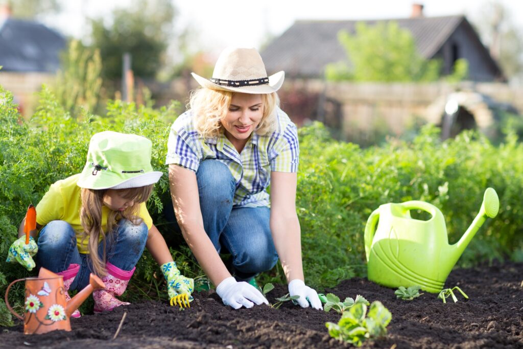 Why You Should Plant A Garden In Your Yard | Insurance In Olathe KS ...